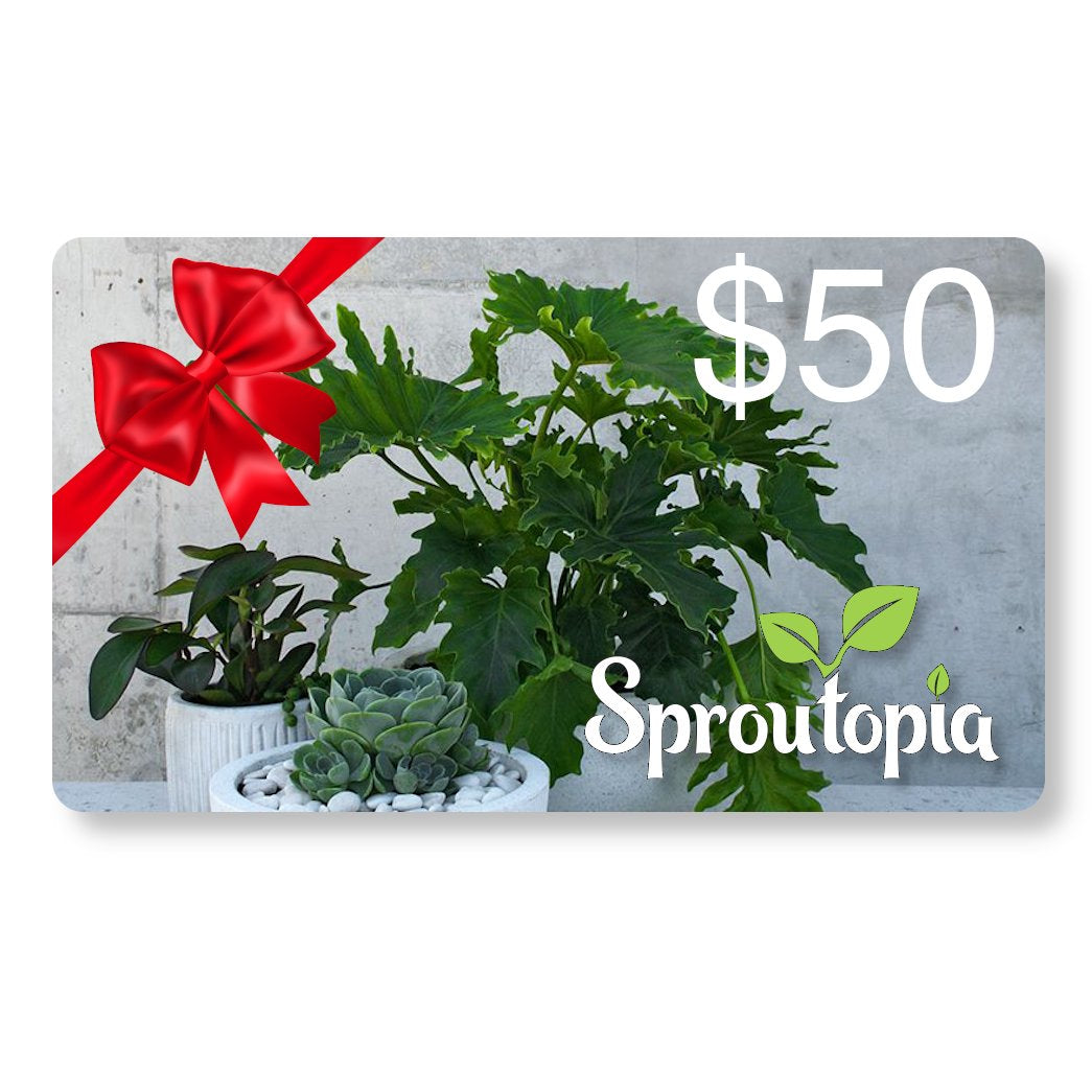 Gift Cards – Sproutopia