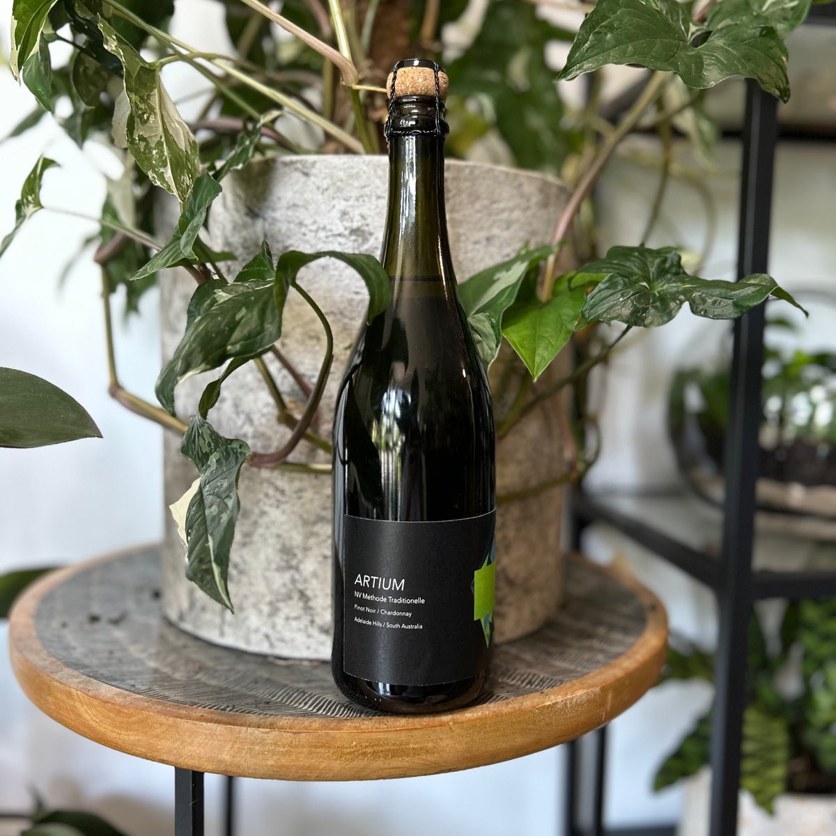 Lush Bird’s Nest, Sparkling wine & Champagne Bucket for a Total Spoil ...